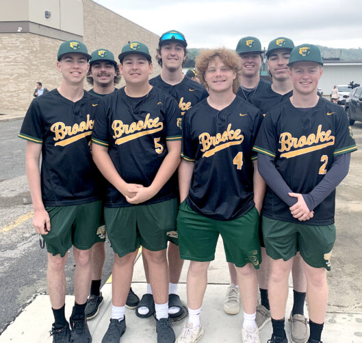 For baseball and softball association, a time of need is turned into an ...